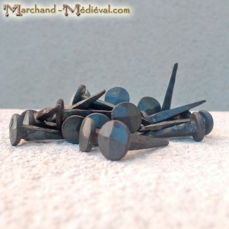 Forged nails (spikes) with hammered head : 30 mm